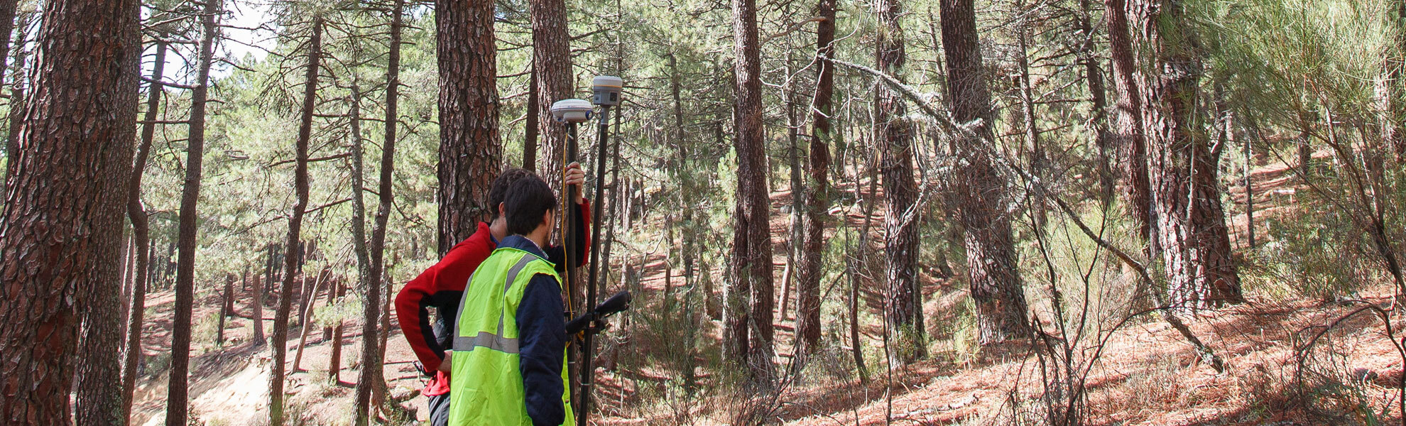 Ingeniería y gestión del territorio - Agresta